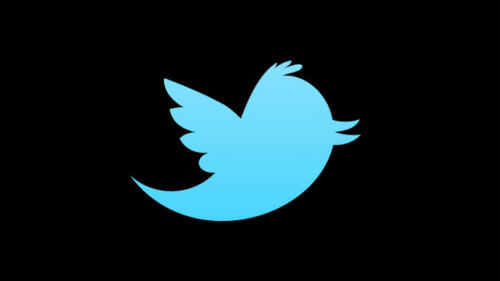Twitter, een dood vogeltje? - CashCow.nl
