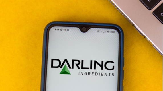 Darling Ingredients: Nieuwe beurslieveling? - CashCow.nl